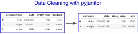introduction to data cleaning with pyjanitor python and
