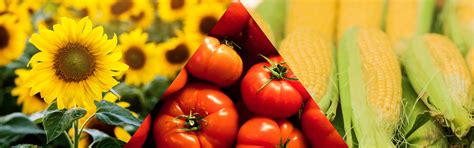 Crop Rotation A Way To Boost Yields And Increase Productivity