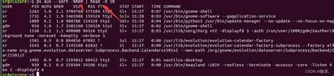 linux s top command parameter detailed pid user pr ni virt res shr s