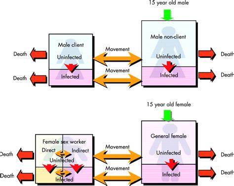 The Asian Epidemic Model A Process Model For Exploring Hiv Policy And