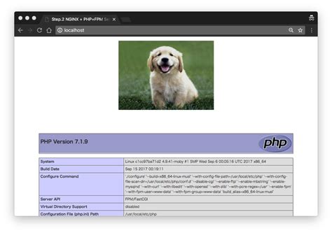 docker compose による nginx 2 php fpm7 mysql 環境の構築方法 psyence
