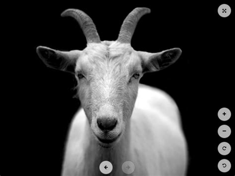 configurable angular image viewer component