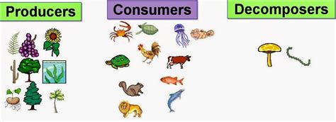 Consumers Examples