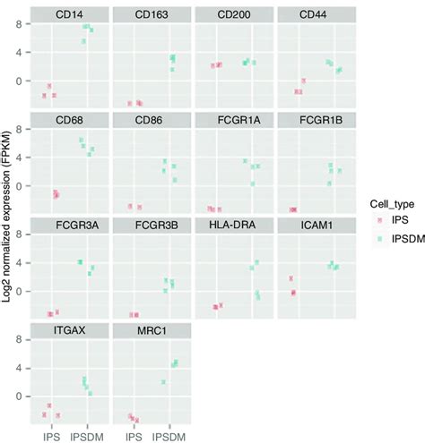 Comparison Of Mrna Expression Of Selected Macrophage Specific Markers