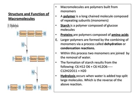 Structure And Function Of Macromolecules1 Ppt