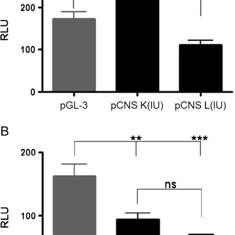 Evolutionary Conserved Non Coding Sequences Identified In Runx1 Intron