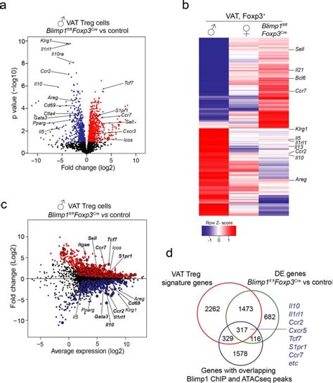 sex specific adipose tissue imprinting of regulatory t cells nature