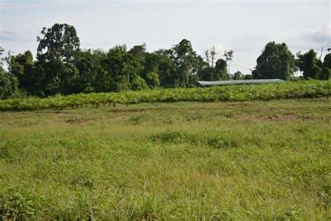 Liberia Takes Historic Step To Issue Title Deeds To Several Communities