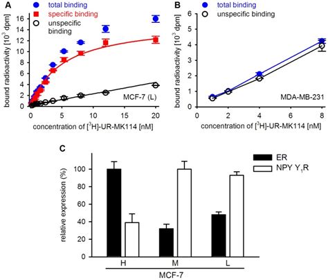 A B Basal Expression Of Npy Y1r By Mcf 7 L And Mda Mb 231 Breast