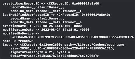 [swiftui] cloudkit images and assets