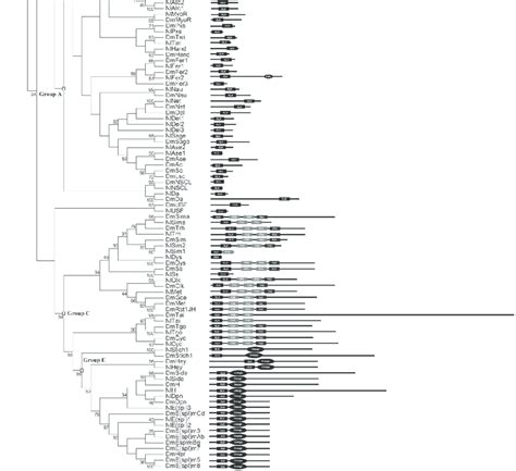 The Phylogenetic Tree And Architecture Of 60 Nlbhlh Members With 59 D