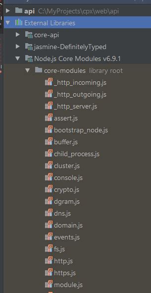adding node js core libraries to project are not saved ides support