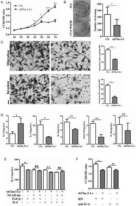 Tim 3 Fosters Hcc Development By Enhancing Tgf β Mediated Alternative
