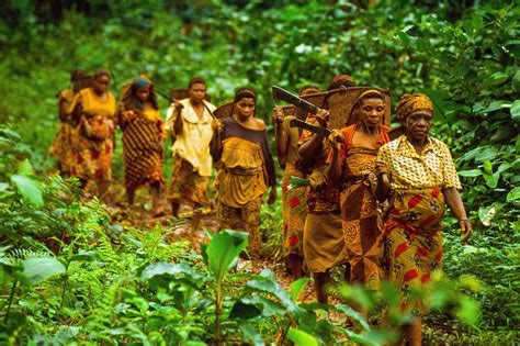 Green Violence ‘eco Guards Are Abusing Indigenous Groups In Africa