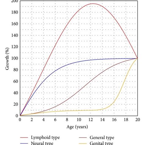 Four Major Types Of Growth Curves Of The Organs And The Body As A