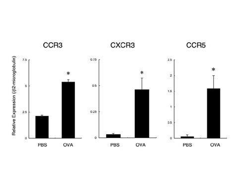Ccr3 Ccr5 And Cxcr3 Mrna Expression Measured By Quantitative