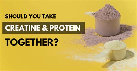 Can You Mix And Take Creatine And Protein Together