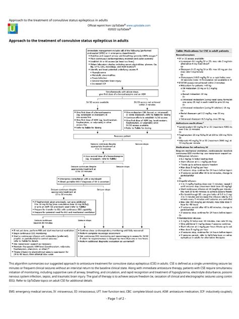 Approach To The Treatment Of Convulsive Status Epilepticus In Adults