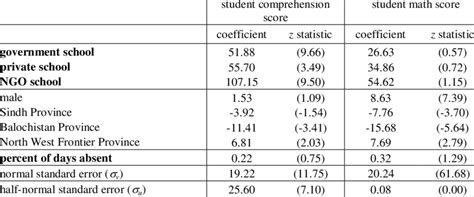 Stochastic Frontier Model With Simple Specification And Instrumental