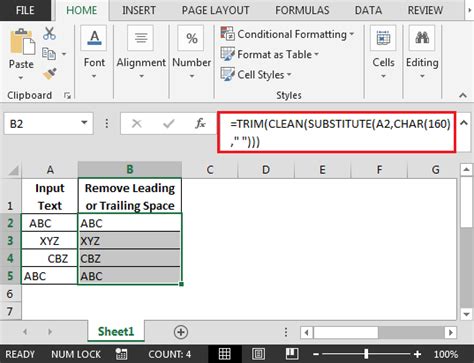 how to remove leading or trailing space in excel 2013