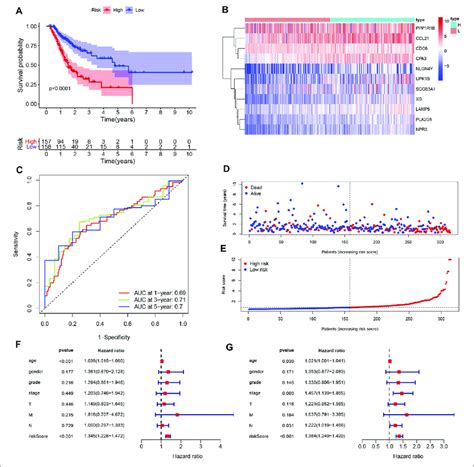 Construction And Assessment Of The Prognosis Model For Gc A