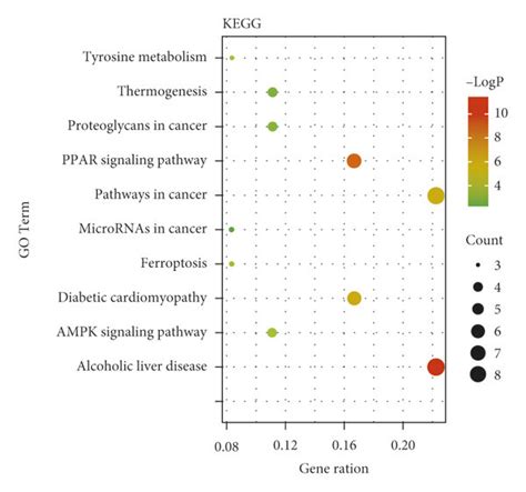 Bubble Charts Of Go And Kegg Enrichment Analysis Note A Go Bp