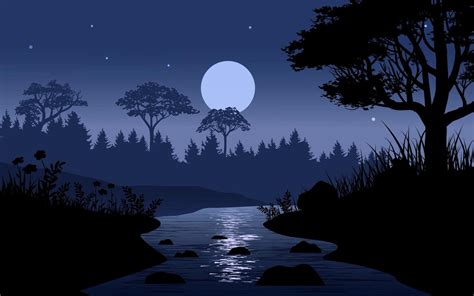 Hermoso Bosque De Noche Ilustración De Noche Bosque De Noche Fondo