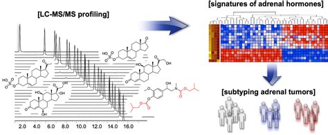 Lc Ms Based Simultaneous Profiling Of Adrenal Hormones Of Steroids