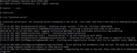 selenium grid setup run scripts on multiple machines