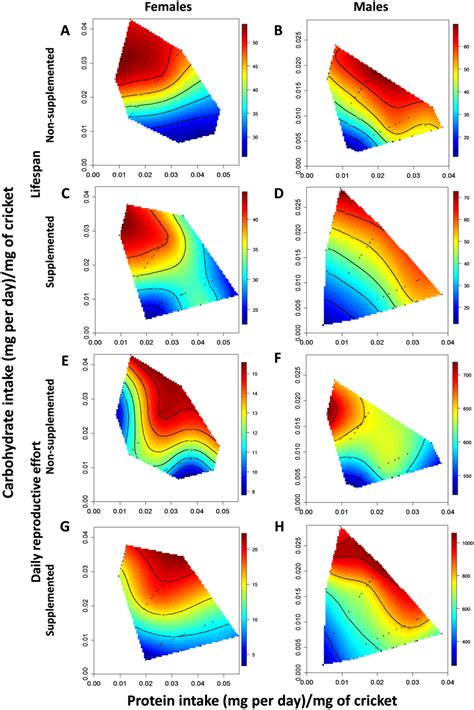 antioxidants free full text testing the effects of dl alpha