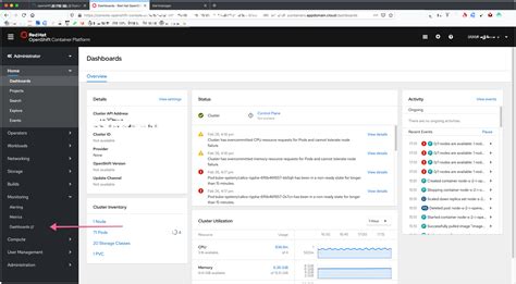 lab 3 metrics and dashboards openshift 101 workshop