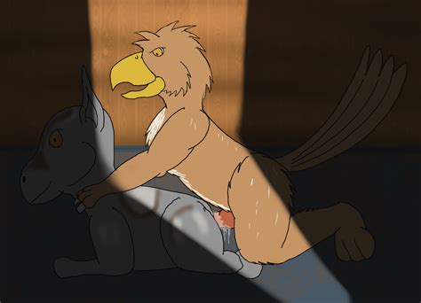 Rule 34 Accipitrid Accipitriform Anthro Avian Bird Hi Res Hole