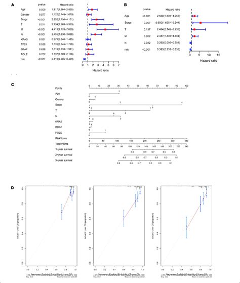 Independent Prognostic Analysis And Nomogram Of The 8 Lncrna
