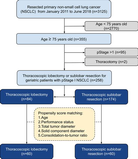 Frontiers Thoracoscopic Lobectomy Versus Sublobar Resection For
