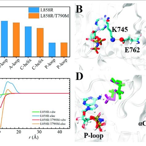 Structural Analysis Of Egfr Mutants And Amp A Time Evolution Of