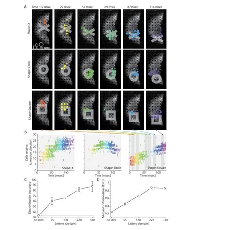 spatio temporal resolution for discrete stimulation download