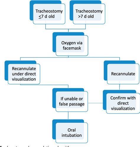 Figure 1 From Tracheostomy Emergencies Semantic Scholar