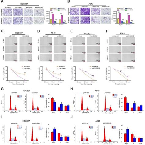 Exosomal Linc00662 Promotes Invasion And Migration Of Nsclc Cells
