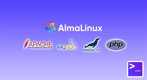 how to install lamp on almalinux 8 expertvm cheap vps