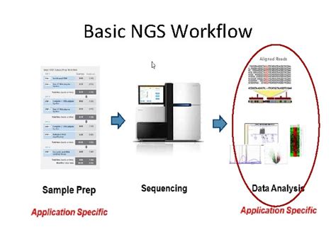 Introduction To Next Generation Sequencing Ngs Data Analysis