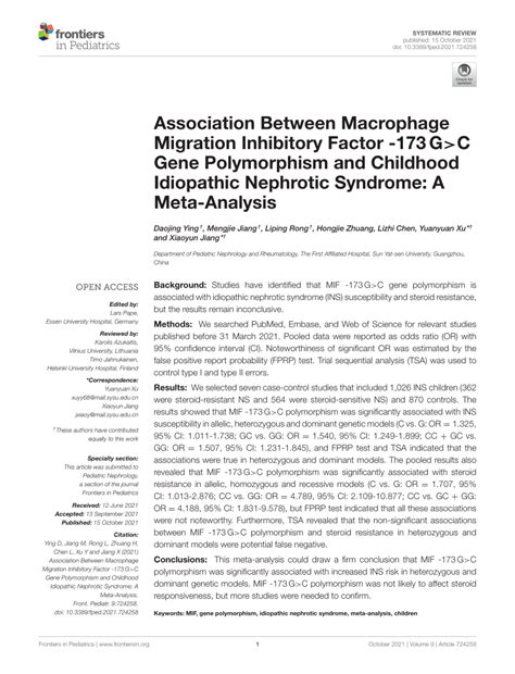 Pdf Association Between Macrophage Migration Inhibitory Factor 173 G