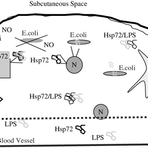 Depicted In Figure 2 Is The Positive Edge Of The Double Edged Sword Of