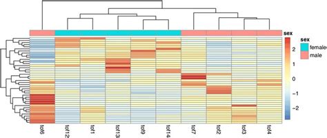 Heatmap Of Differentially Expressed Srna Clusters Among Male And Female