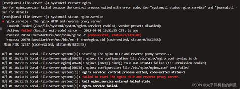 linux配置nginx报错failed to start the nginx and reverse proxy server