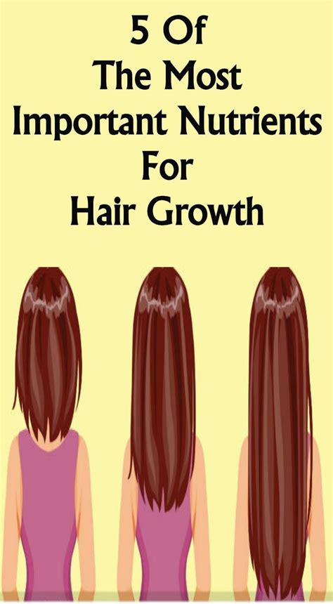 5 Of The Most Important Nutrients For Hair Growth Healthy Beauty Ways
