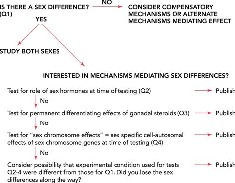 sex as a biological variable now what physiology
