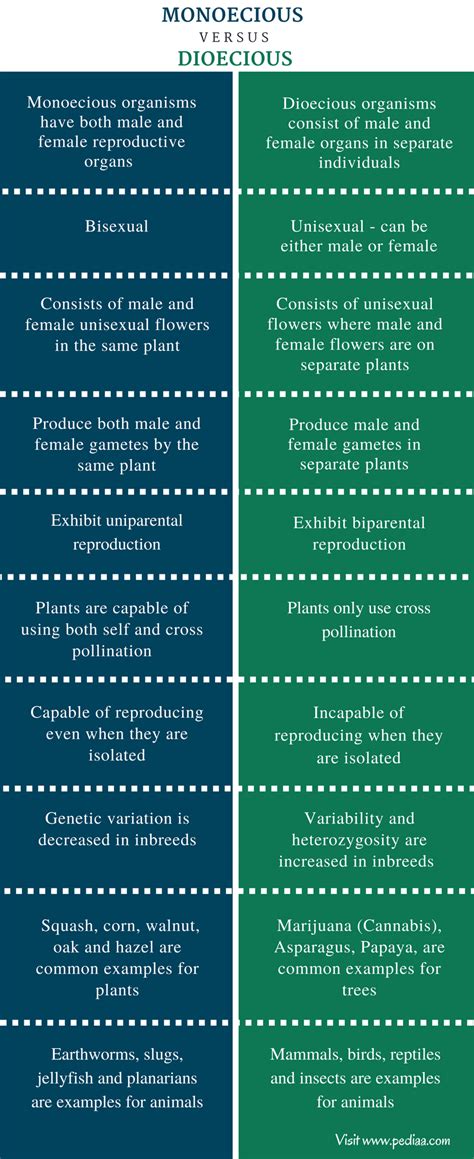 difference between monoecious and dioecious definition