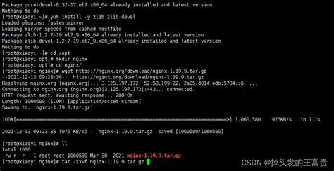 linux安装nginx（图文解说详细版） linux系统niginx安装的ppt 掉头发的王富贵的博客 csdn博客