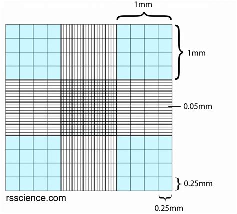 Hemocytometer Calculation Dilution Factor At Charles Devlin Blog