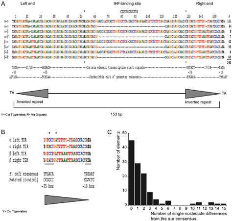The Eight Classes Of The Consensus Ce A Nucleotide Sequence